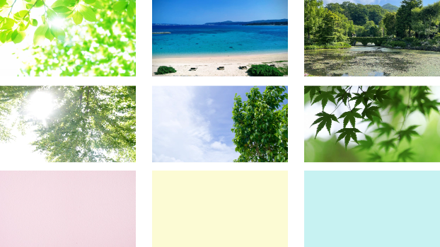写真の撮り方 | Aill goen